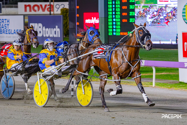 Home - Australian Harness Racing