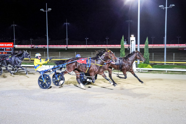 Home - Australian Harness Racing