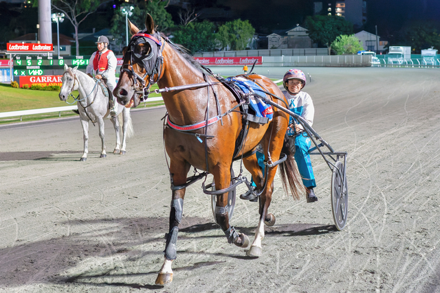 Home - Australian Harness Racing