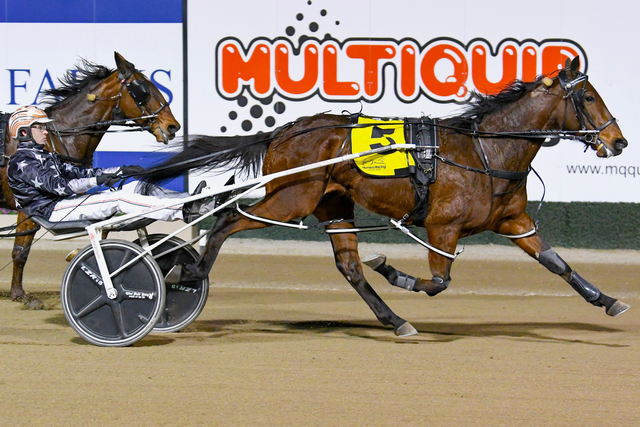 Home - Australian Harness Racing