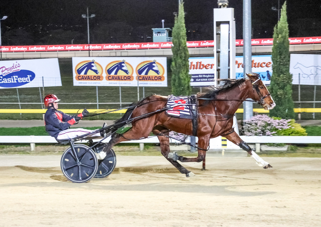 Home - Australian Harness Racing