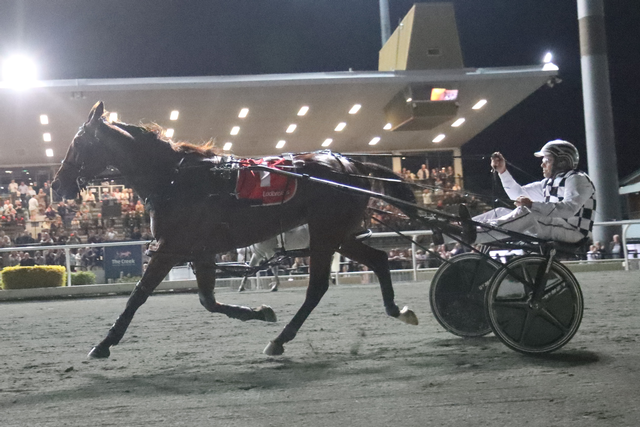 Home - Australian Harness Racing