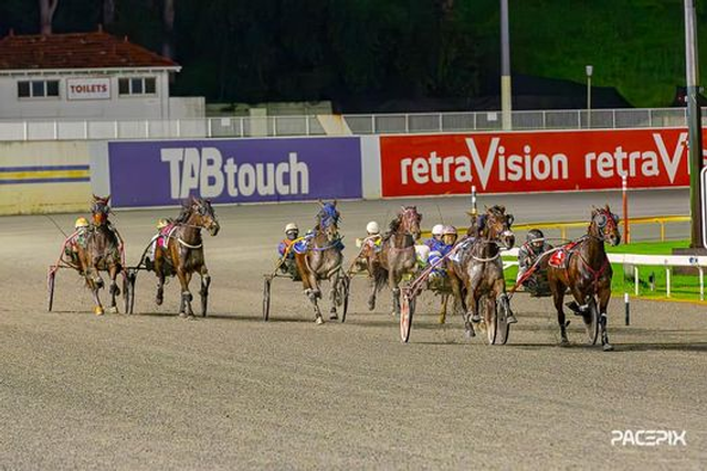 Home - Australian Harness Racing