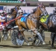 Australian Harness Racing