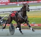 Australian Harness Racing